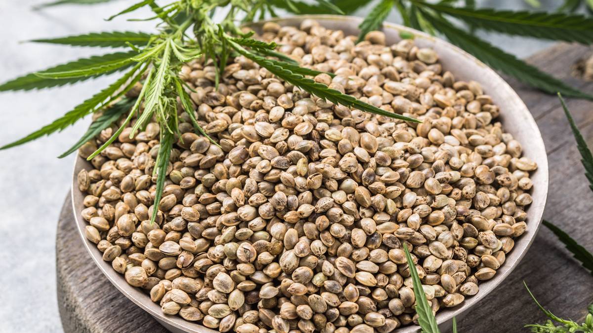 Mit érdemes tudni a kenderolajról? - Medicina Magazin